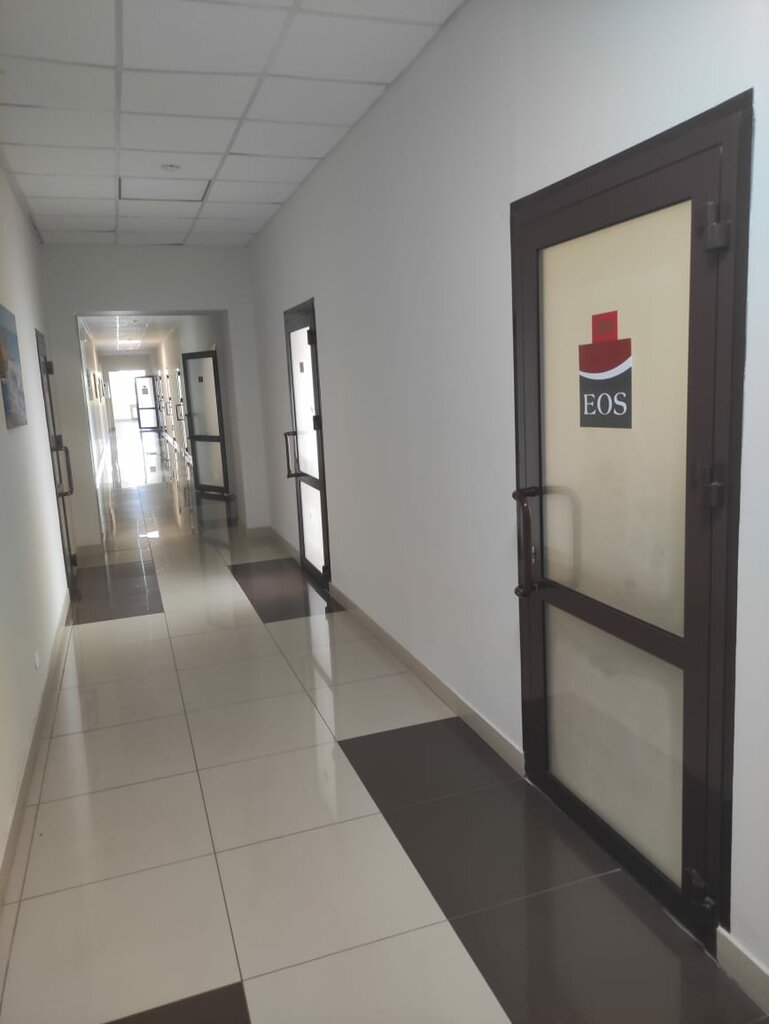 Tahsilat firmaları Eos, Izhevsk, foto