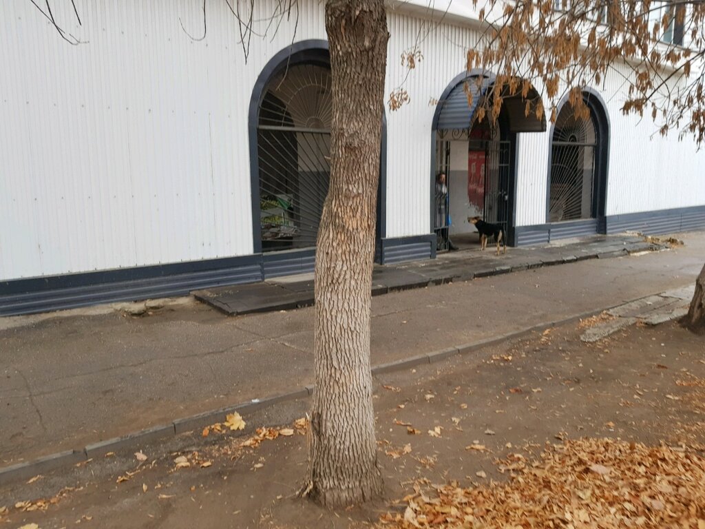 Kafe ИП Холодкова, Saratov, foto