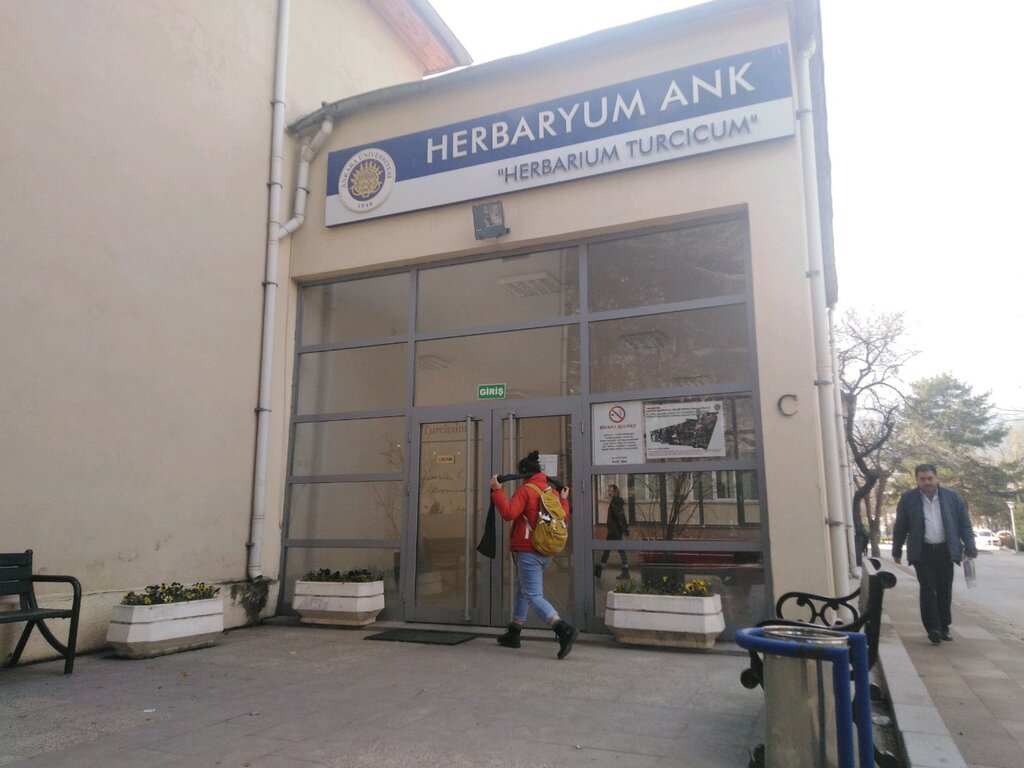 Üniversiteler Ankara üniversitesi Herbaryum Ank, Ankara, foto