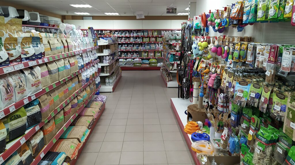 Petshop Zoosfera, Nijni Novgorod, foto