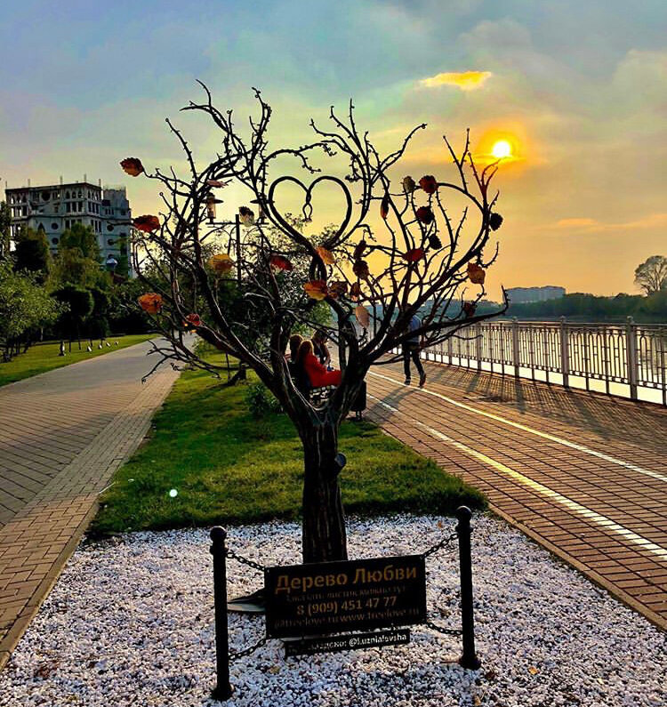 Dekorasyon ve süsleme, onur panosu Tree Love, Krasnodar, foto