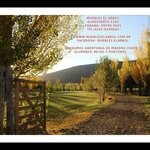 Mueblería El Árbol (Provincia de Buenos Aires, Bahía Blanca, Almafuerte), mobilya mağazaları  Parana'dan