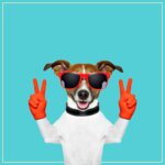 Inernet Shop PovodOk (Biryulyovskaya Street No:49к4с2), petshop  Moskova'dan