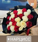 Narciss (Gor'kogo Street No:25), çiçekçiler  Kirov'dan