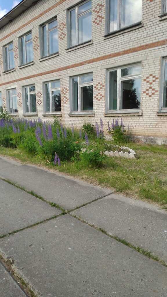 Ortaokul Шольская средняя школа, Vologodskaya oblastı, foto