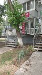 Цветы (ulitsa Metallistov No:15), çiçek teslimatı  Samara'dan