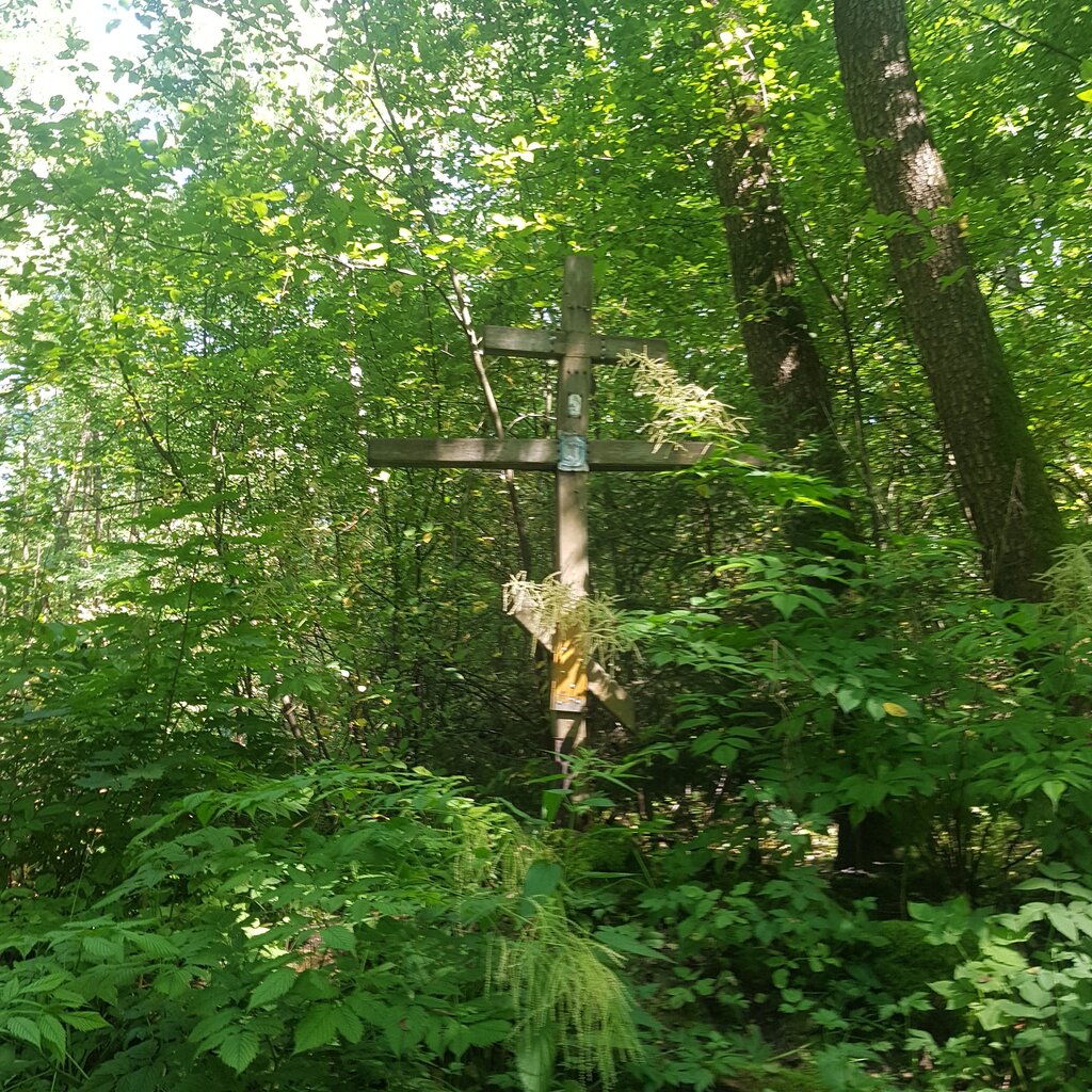 Pınar, çay Spring, stream, Tulskaya oblastı, foto