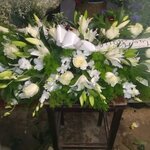 Copif Piante e Fiori (Emilia-Romagna, Forlì-Cesena, Forlì, Forli, Viale Gorizia), çiçek teslimatı  Forli'den