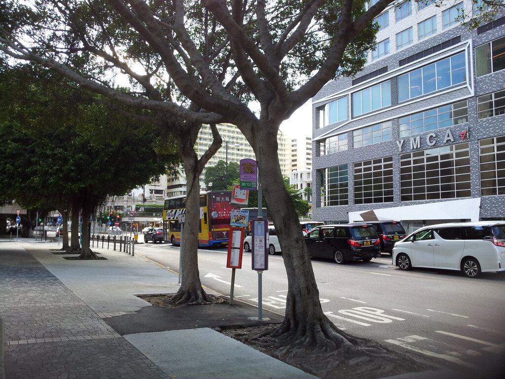 Toplu taşıma durağı Hong Kong Cultural Centre, Kowloon, foto