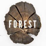 Forest74 (Verkhoyanskaya ulitsa No:34), özel mobilya yapımı  Çeliabinsk'ten