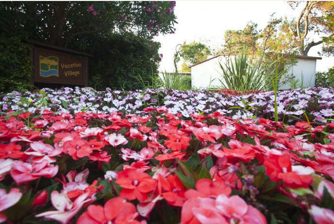 Kamp alanları Camping Village Pino Mare, Friuli‑Venezia Giulia, foto