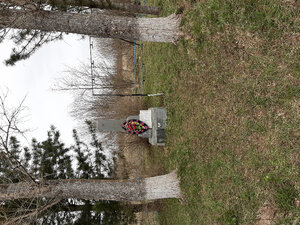 Воинское захоронение д. Муры (Novgorod Region, Demyanskiy District, derevnya Mury), anıt, heykel  Novgorodskaya oblastından