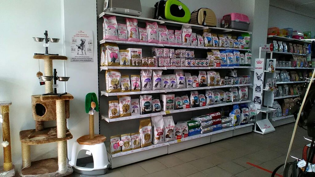 Petshop Matil'da, Magnitogorsk, foto