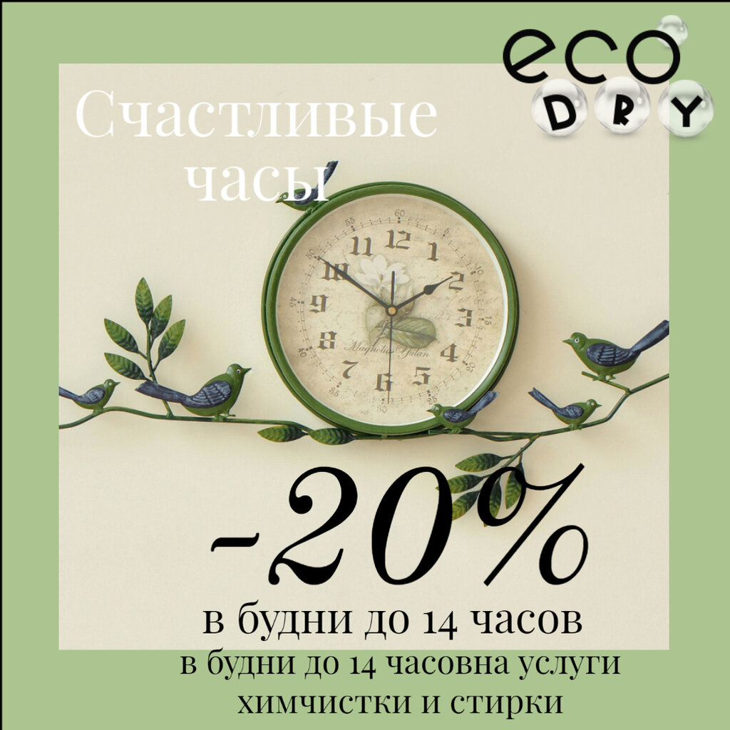 Kuru temizlemeciler Ecodry, Moskova, foto