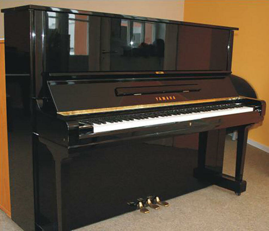 Müzik enstrumanların tamiri Pianohaus Bayer - Meisterwerkstatt für Tasteninstrumente, Saksonya, foto
