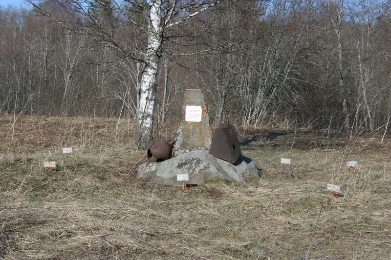 Anıt, heykel Деревне Нижние Лужки, Saint‑Petersburg ve Leningradskaya oblastı, foto