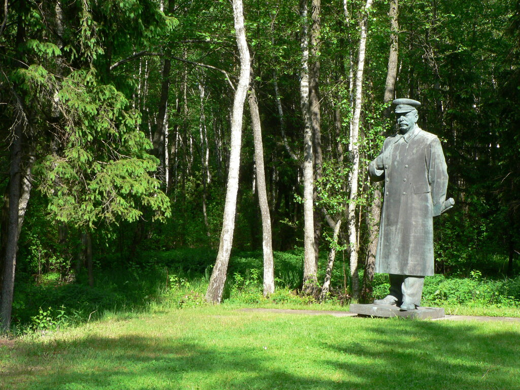Orman Matveyevsky Forest, Moskova, foto