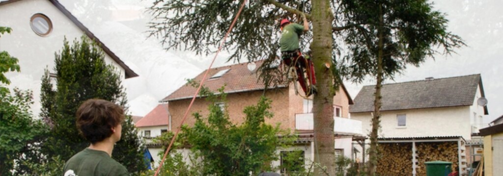 Bahçe ekipmanları ve teknolojileri Goos Baumpflege und Gartengestaltung, Baden‑Wurttemberg, foto