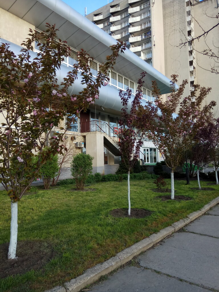 Gece kulüpleri Domino, Odesa, foto