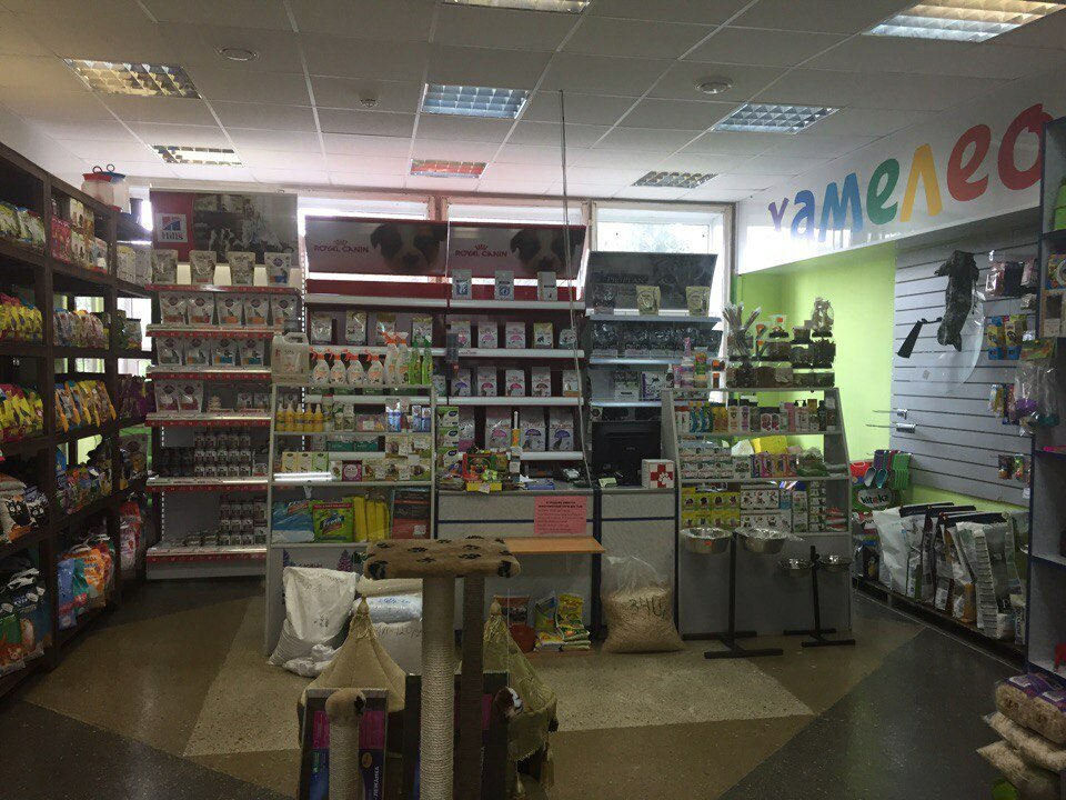 Petshop Zoomagazin Khameleon, Belgorod, foto