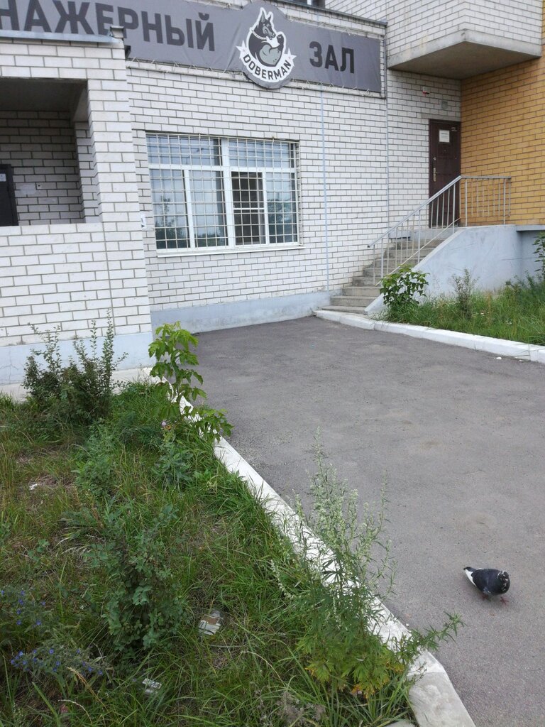 Spor ve jimnastik salonları Gym Doberman, Voronej, foto