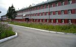 Suzunskaya spetsialnaya korrektsionnaya shkola-internat dlyadetey-sirot i detey, ostavshikhsya bez popecheniya roditeley VIII vida (Partizanskaya ulitsa No:213, rabochiy posyolok Suzun), yatılı okul  Novosibirskaya oblastından