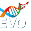 Evo Tendernoye soprovozhdeniye (No:3, Severo-Zapad Quarter, 1-y kvartal), müzayede firmaları  Zlatoust'tan