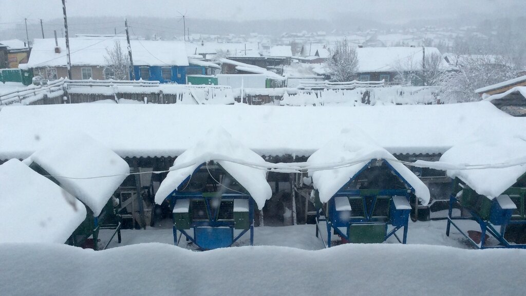 Hayvancılık firmaları Krolikoferma Kamarchaga, Krasnoyarski krayı, foto