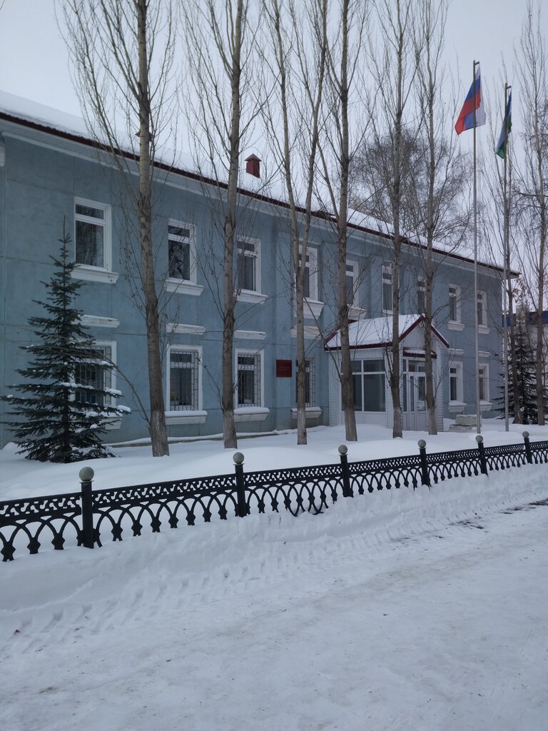 Adliyeler Янаульский районный суд Республики Башкортостан, Yanaul, foto