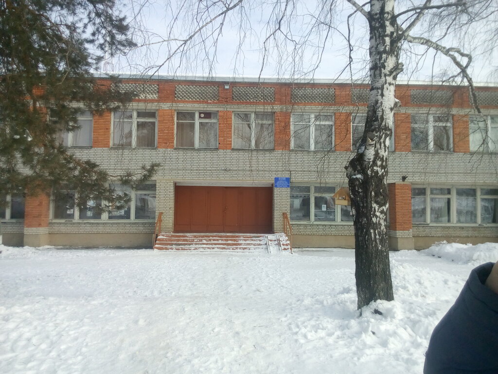 Ortaokul Srednyaya obshcheobrazovatelnaya shkola R. P. Zolotarevka, Penzenskaya oblastı, foto