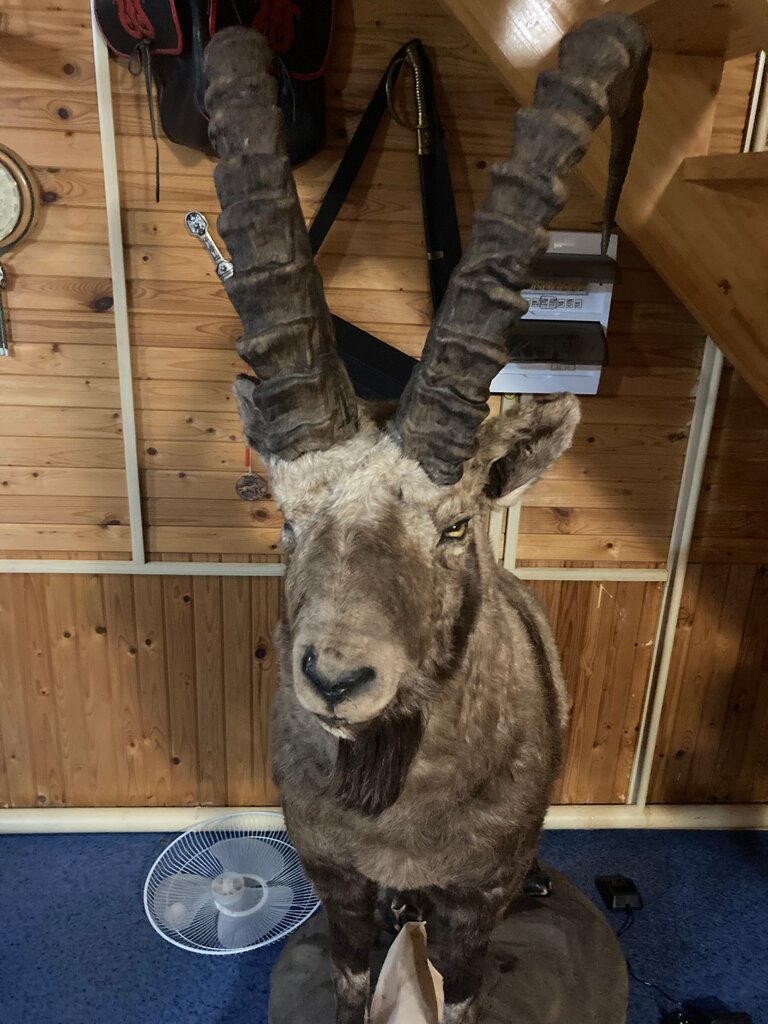 Avcılar ve balıkçılar Охотничья база Медвежий угол, Kostromskaya oblastı, foto