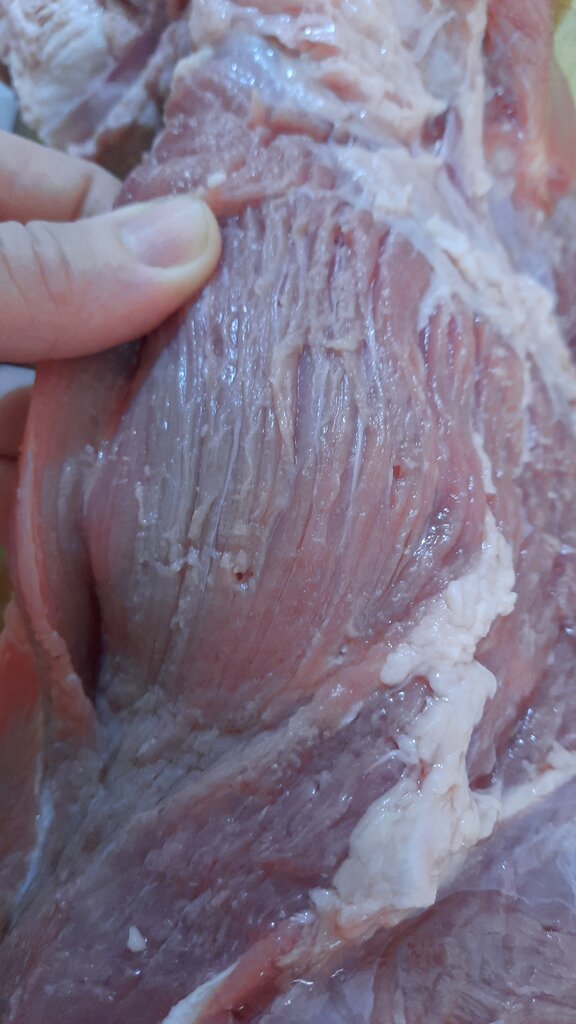 Kasap, şarküteri Махан, Astrahanskaya oblastı, foto