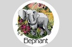 Elephant (Chkalova Street No:38А), çiçekçiler  Jukovski'den