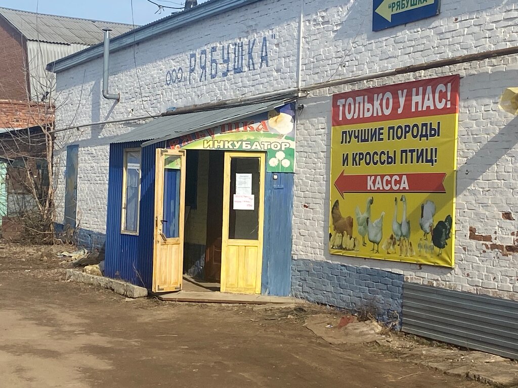 Tarım firmaları Инкубатор Рябушка, Marx, foto