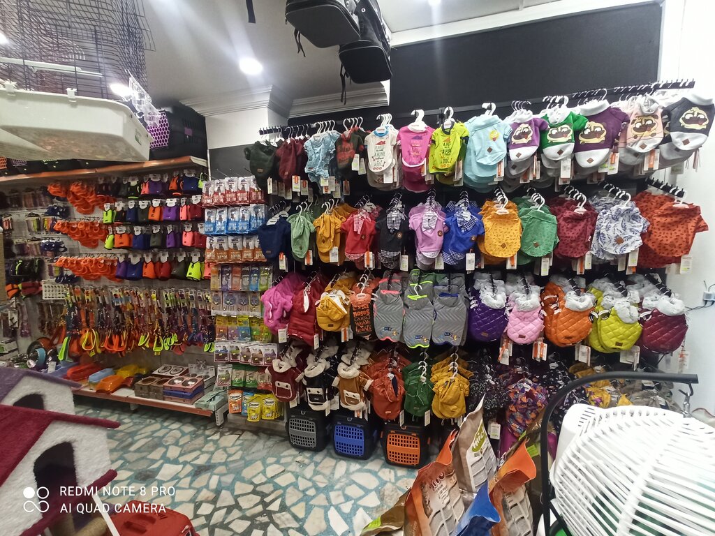 Petshop Atlas petshop, İstanbul, foto