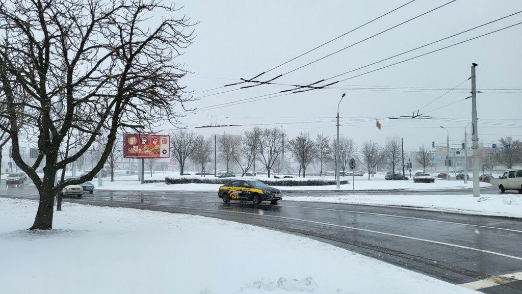 Doğa Цветочная композиция, Minsk, foto