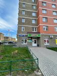 Service centr (Zagorodnaya ulitsa No:43к4), telefon tamir servisi  Kolpino'dan