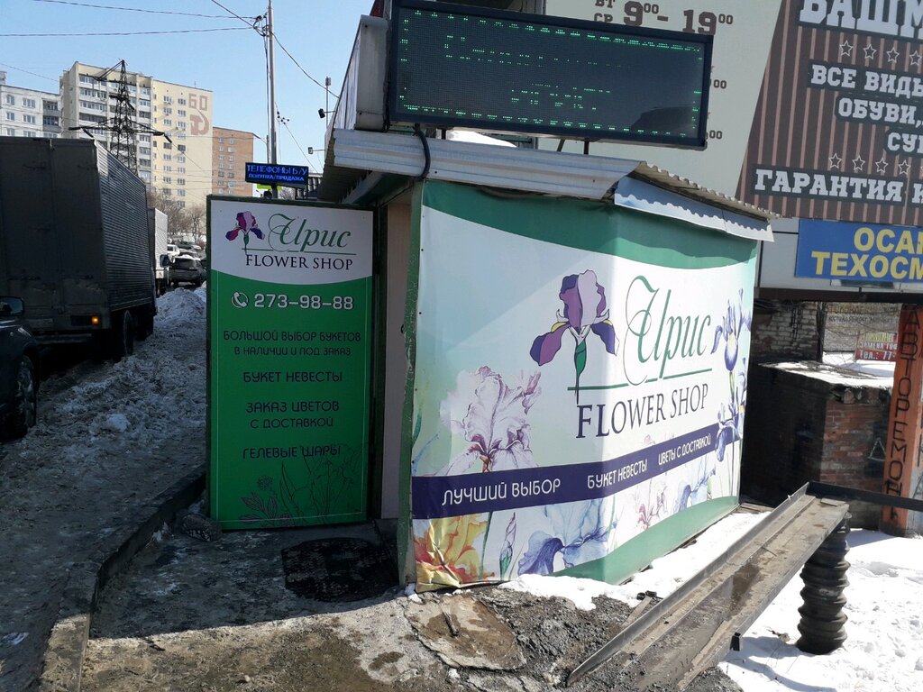 Çiçekçiler Iris, Vladivostok, foto