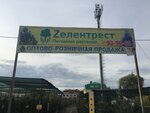 Pitomnik Zelentrest (Ust-Kurdyumskoye shosse No:11, Saratov), sera ve bahçe ürünleri  Saratov'dan
