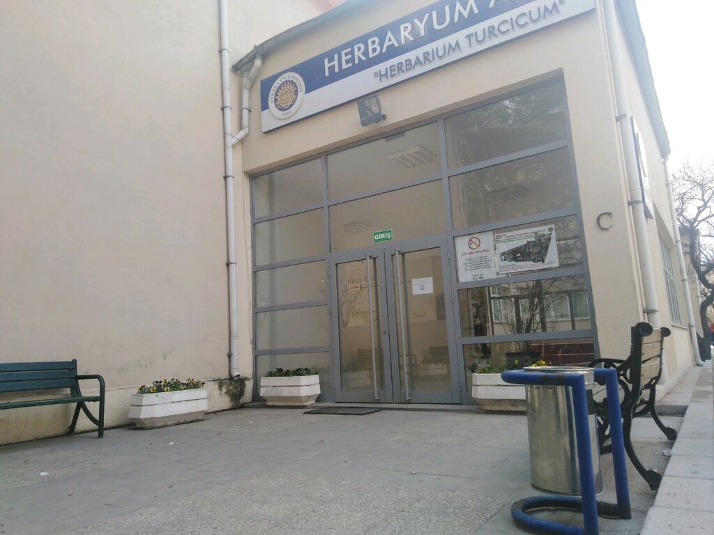 Üniversiteler Ankara üniversitesi Herbaryum Ank, Ankara, foto