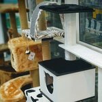 Pro100korm.ru (Sirenevy Boulevard No:54), petshop  Moskova'dan
