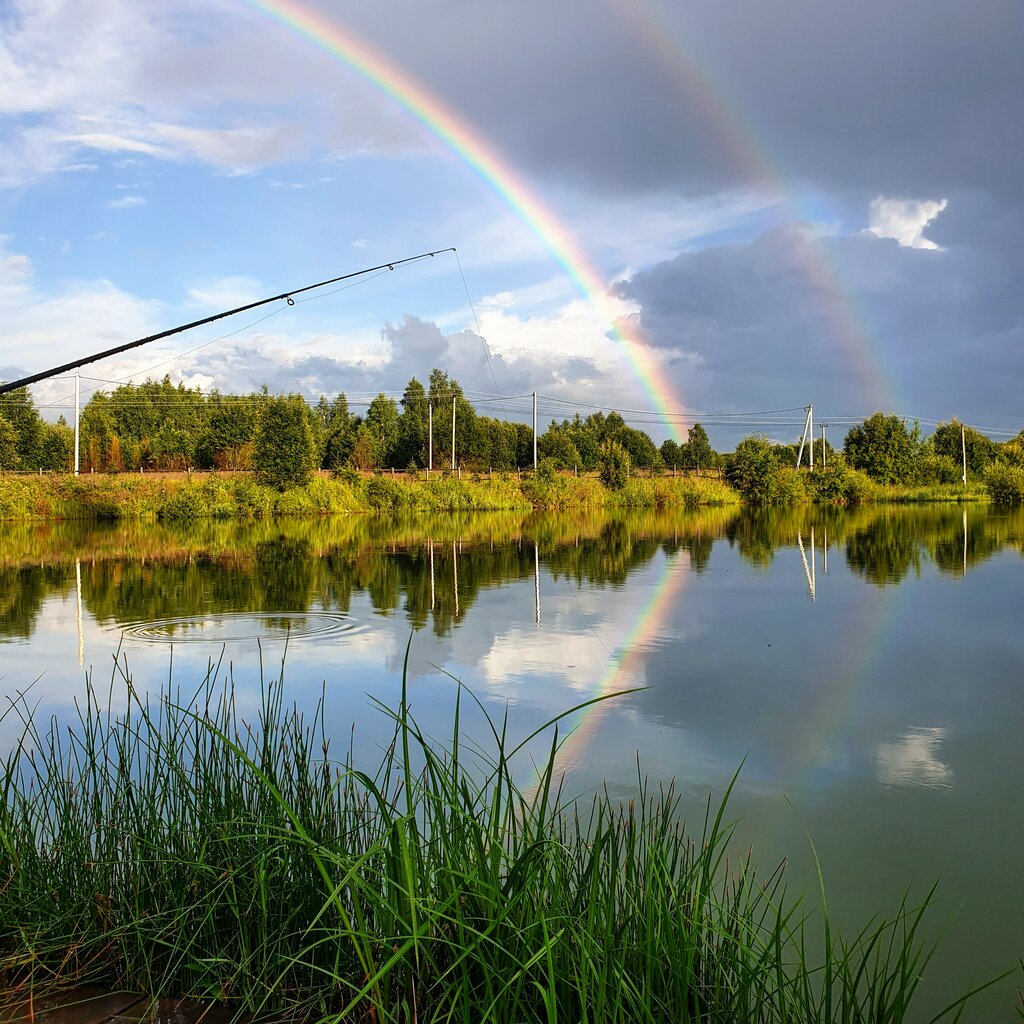 Avcılar ve balıkçılar Рыбалка, Moskova ve Moskovskaya oblastı, foto