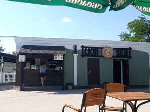 Lion Sea (Autonomous Republic of Crimea, Yevpatoriyskiy gorodskoy sovet, posyolok gorodskogo tipa Zaozyornoye), kafe