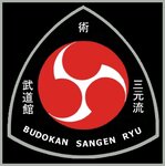 Sangen Jiu-Jitsu (Fontanka River Embankment No:133), spor kulüpleri  Saint‑Petersburg'dan