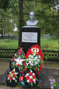 Бюст Ф.И. Толбухину (Tsentralnaya ulitsa No:46, selo Androniki), anıt, heykel  Yaroslavskaya oblastından