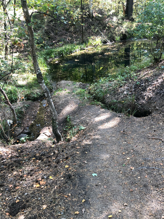 Pınar, çay Seven Springs, Akmola eyaleti, foto