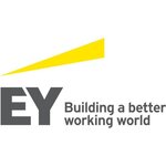 Ey Tax Consultants (Province of Flemish Brabant, Machelen, De Kleetlaan, 2), mali müşavir  Flaman Brabant'tan