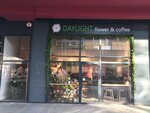 Daylight Flower (Cevizli Mah., Zuhal Cad., No:46, Maltepe, İstanbul), çiçekçiler  İstanbul'dan