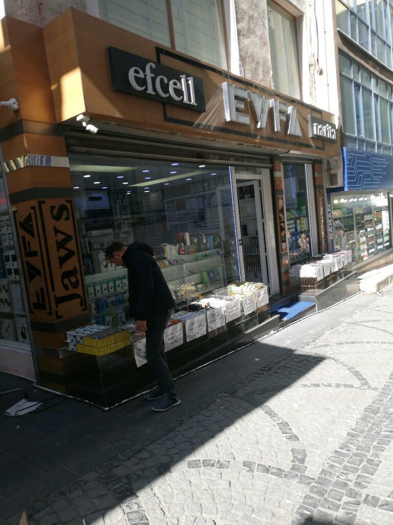 Elektronik eşya mağazaları Eyfa Elektronik, İstanbul, foto