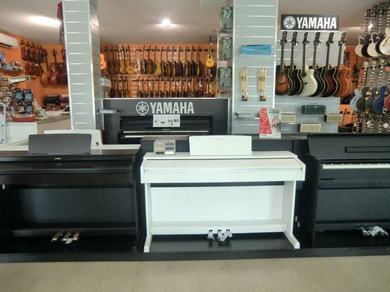 Müzik enstrumanların tamiri Musicarte Conegliano Strumenti Musicali, , foto